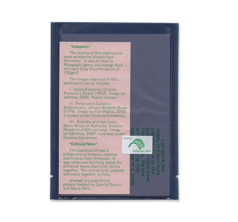 Violeta Paez Armando